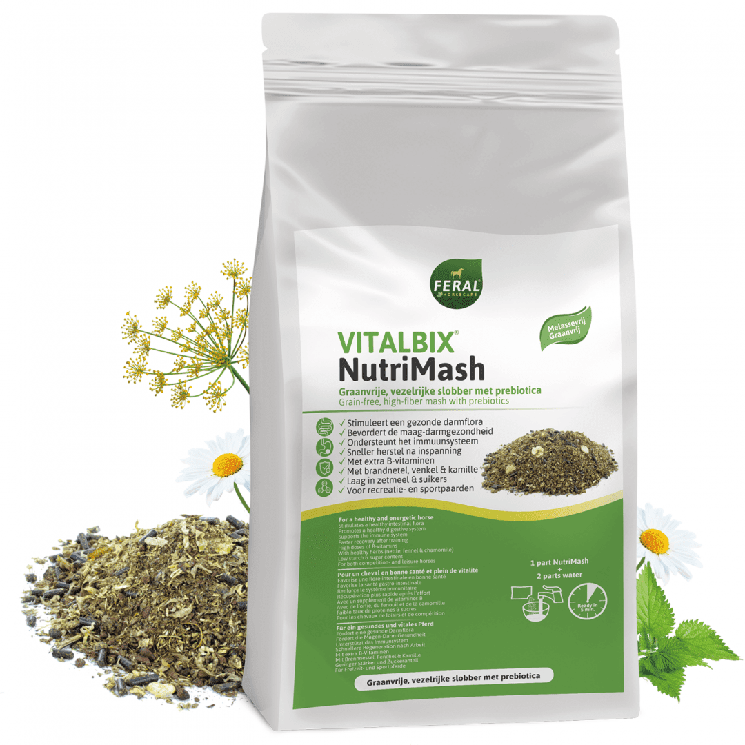 Vitalbix - Paard en Voeding